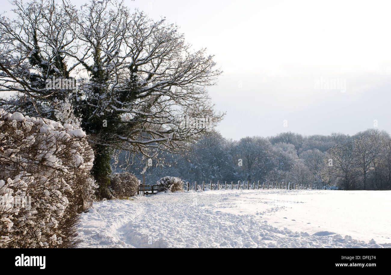 A snowy morning in Surrey countryside, winter scene with snow covering ...