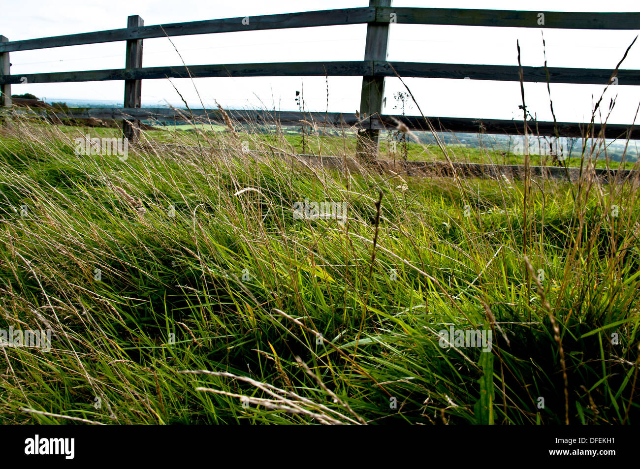 Mullagh ireland hi-res stock photography and images - Alamy
