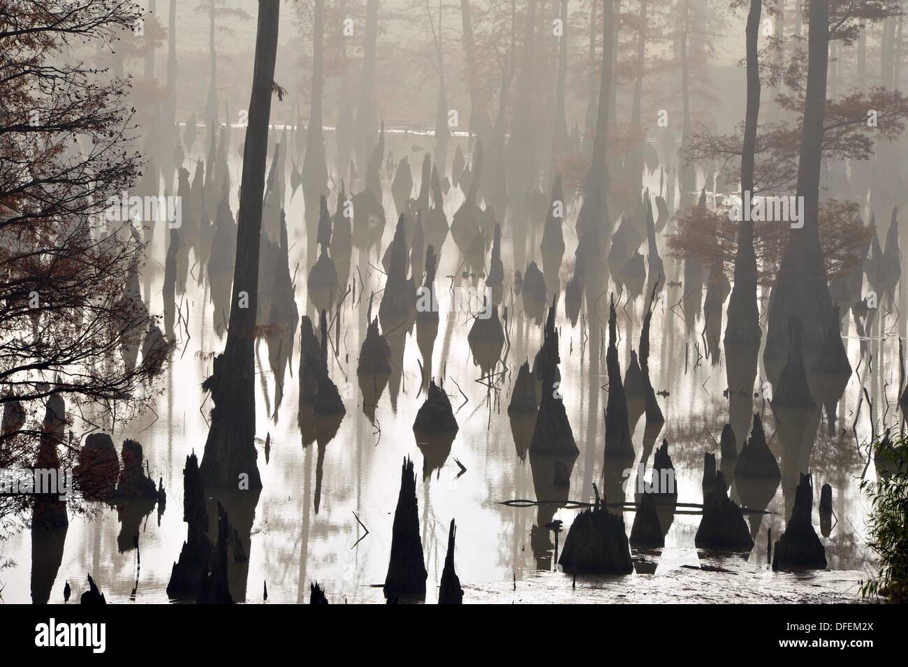 Loosahatchie river hi-res stock photography and images - Alamy