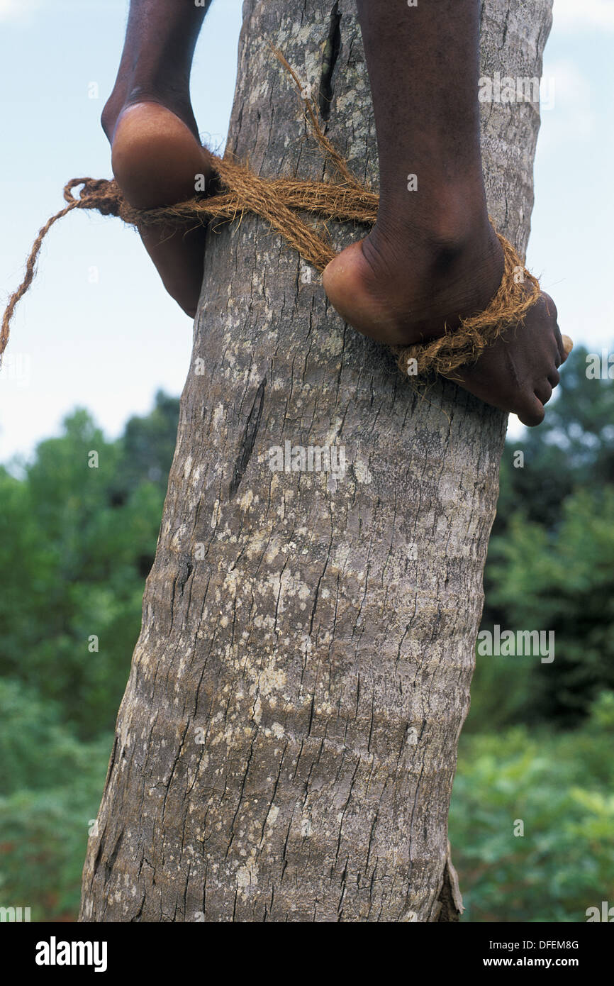 Binded feet hi-res stock photography and images - Alamy