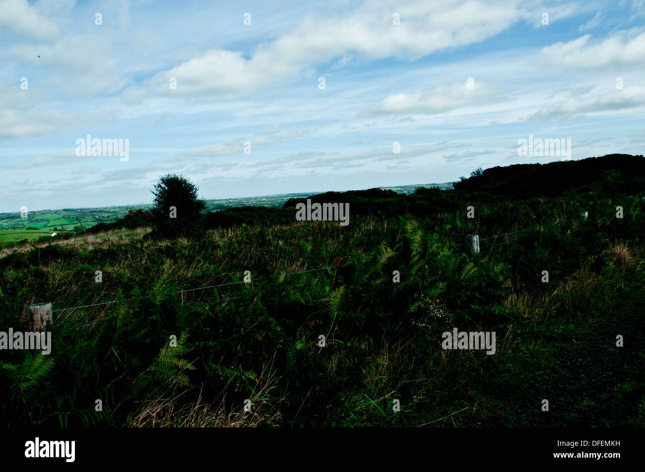 Mullagh ireland hi-res stock photography and images - Alamy