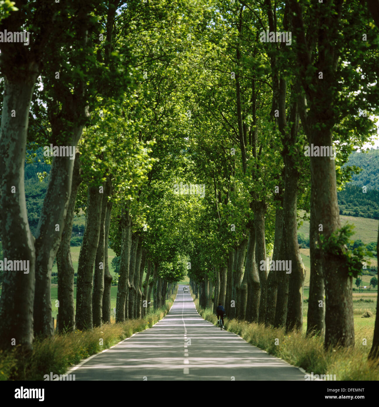 Orduna High Resolution Stock Photography and Images - Alamy