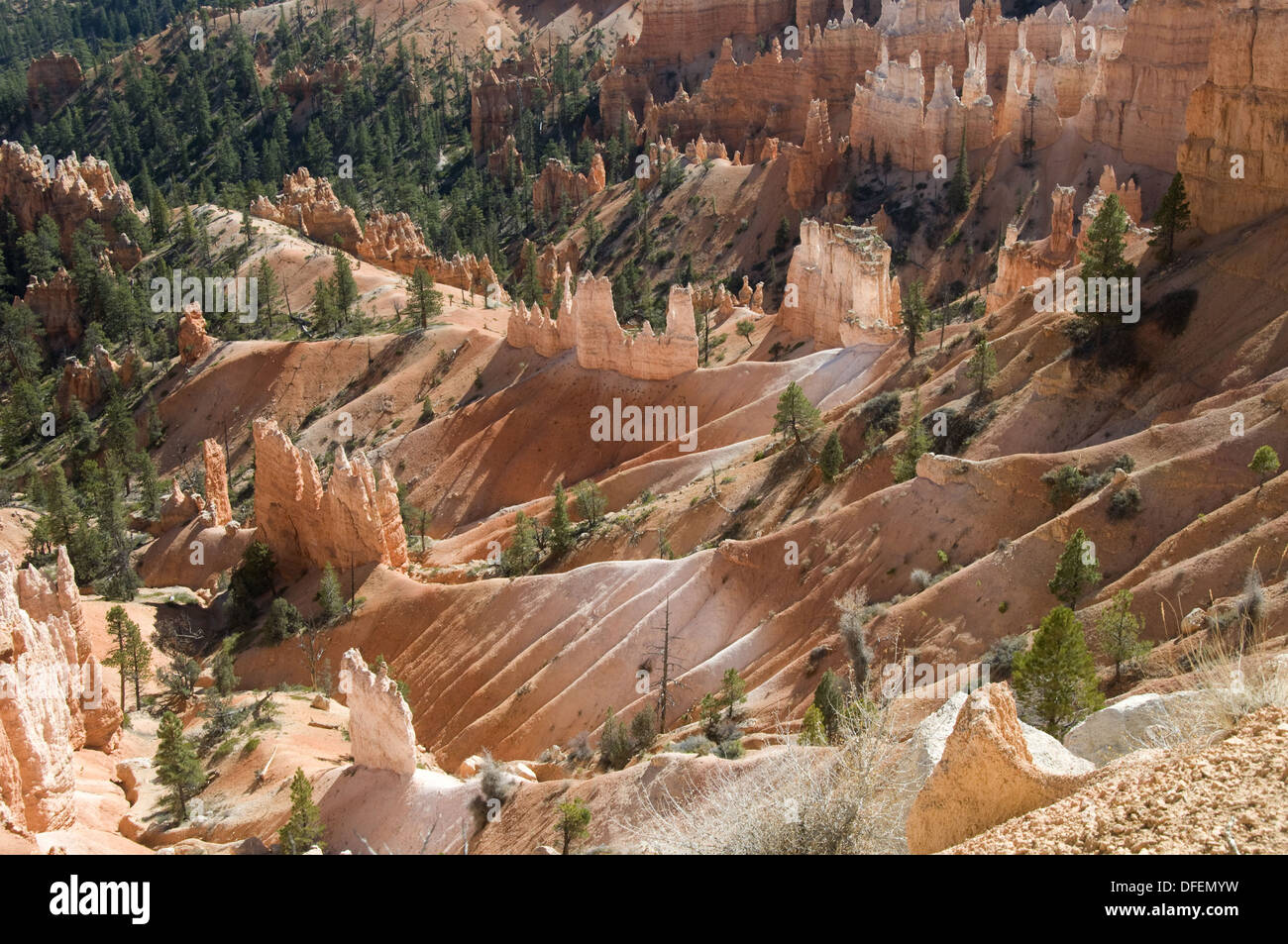 Giant Natural Amphitheater Created Erosion High Resolution Stock ...