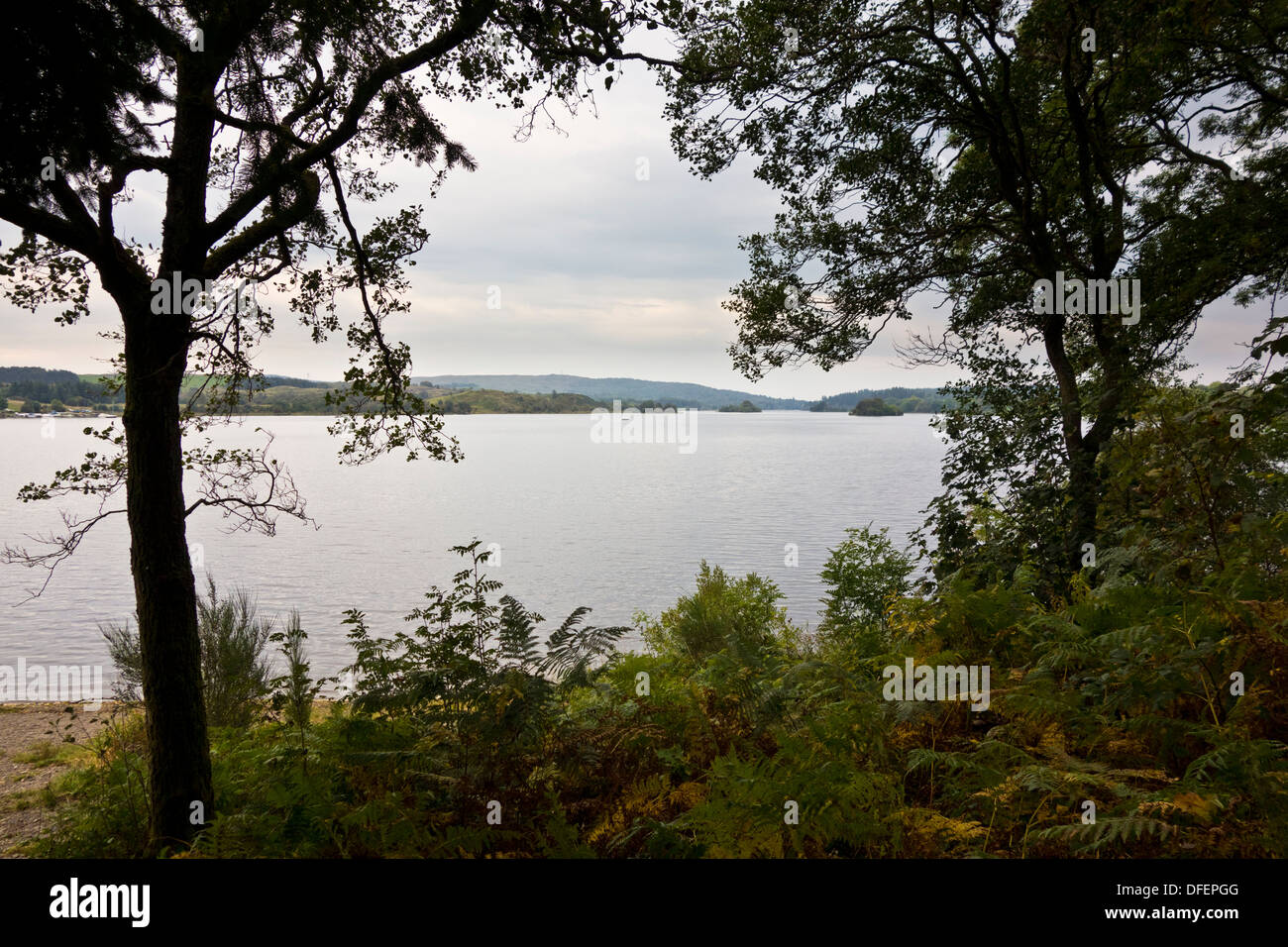 Loch ken hi-res stock photography and images - Alamy