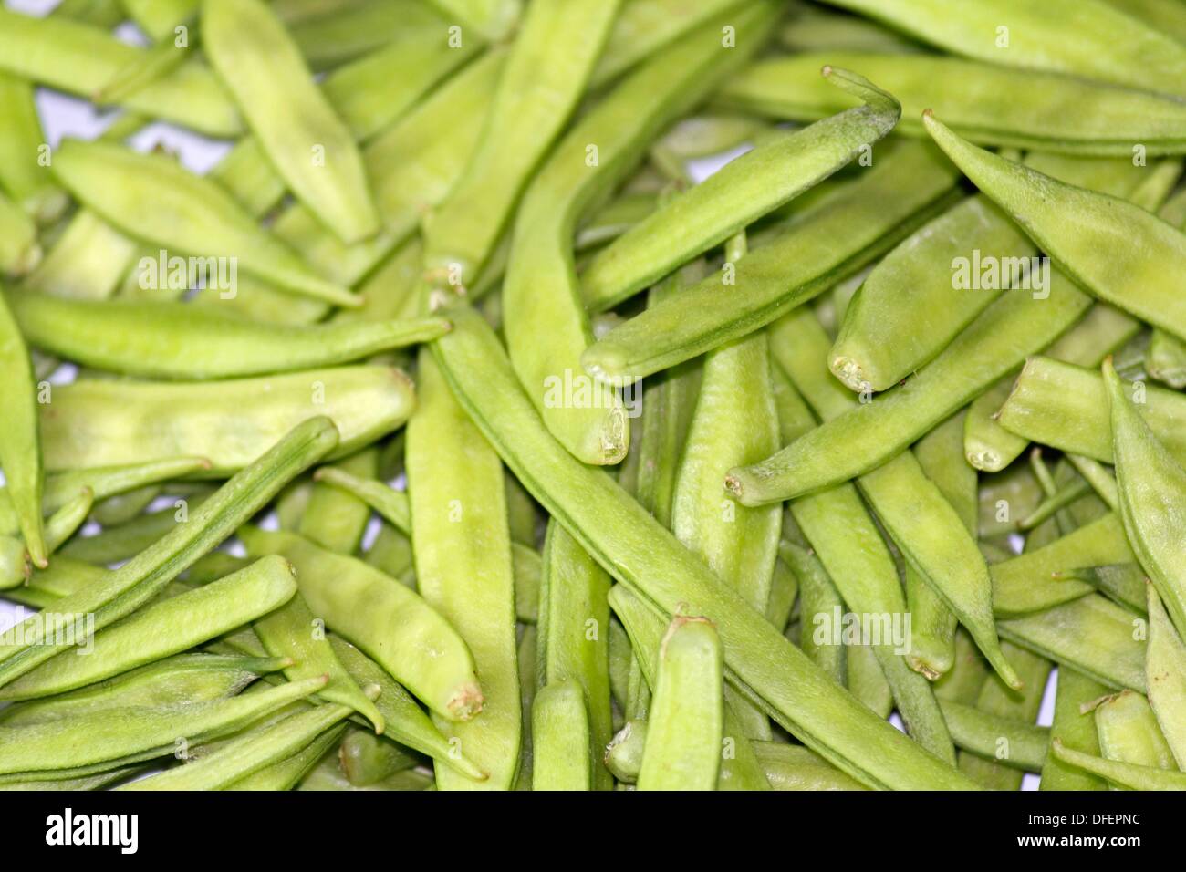 Cyamopsis tetragonoloba hi-res stock photography and images - Alamy