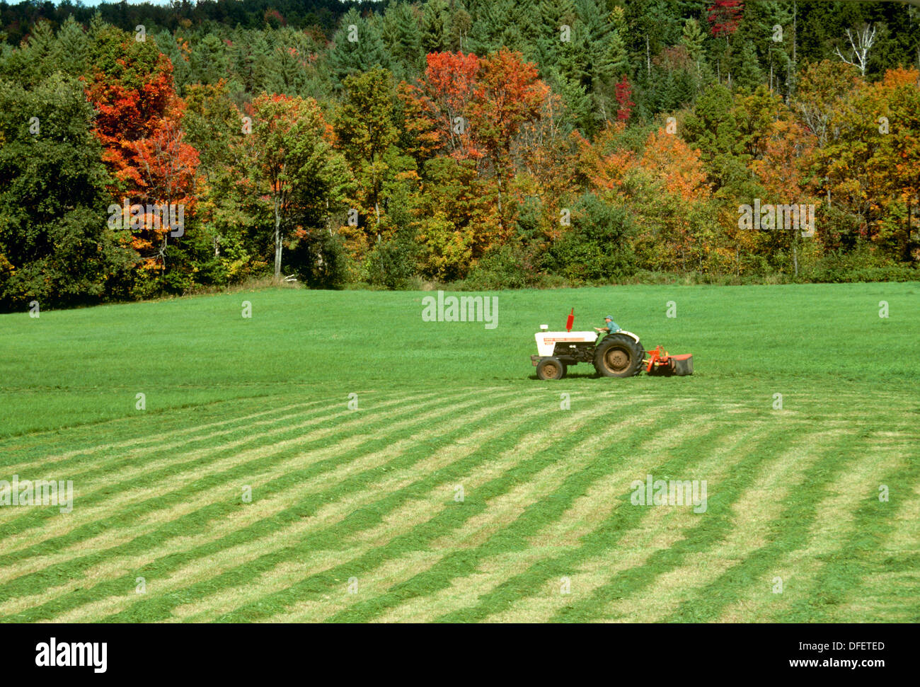 Fall farmer gay bumgarner hi-res stock photography and images - Alamy