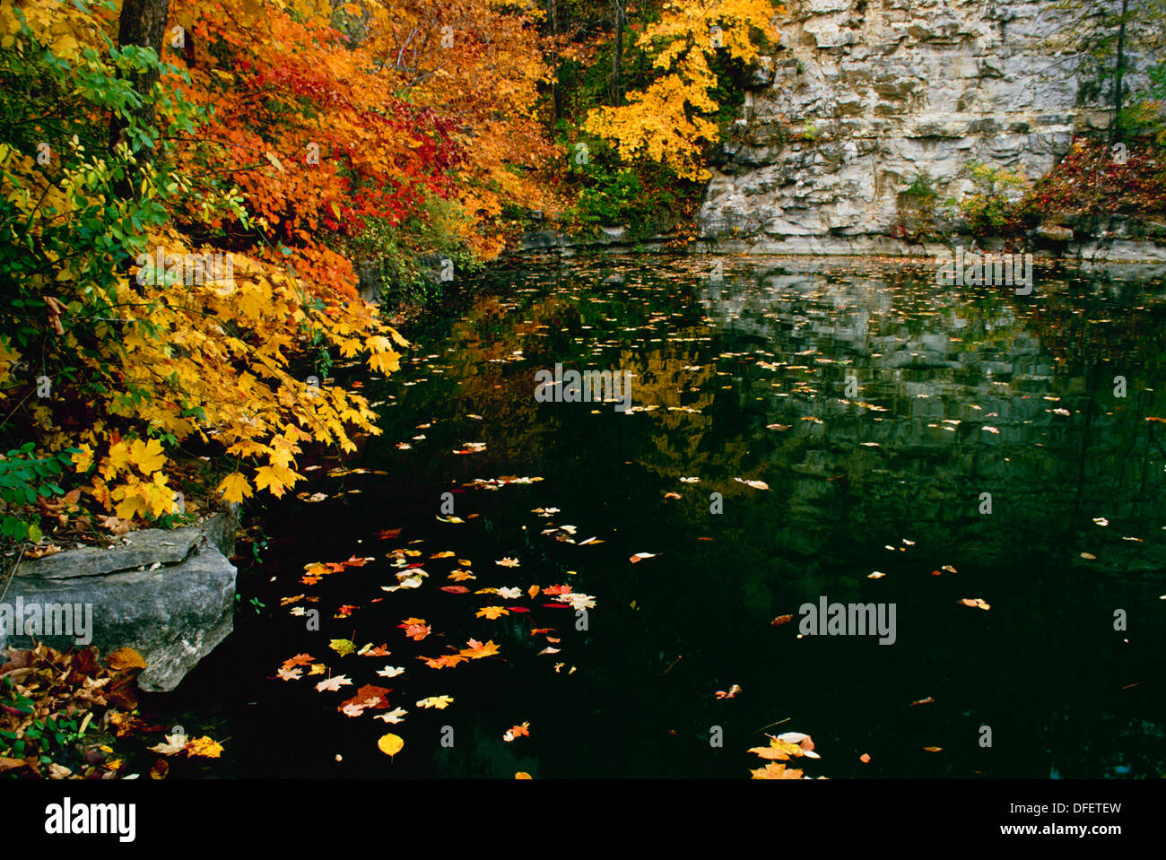 Cliffs of old quarry filled with water surrounded by fall color trees ...