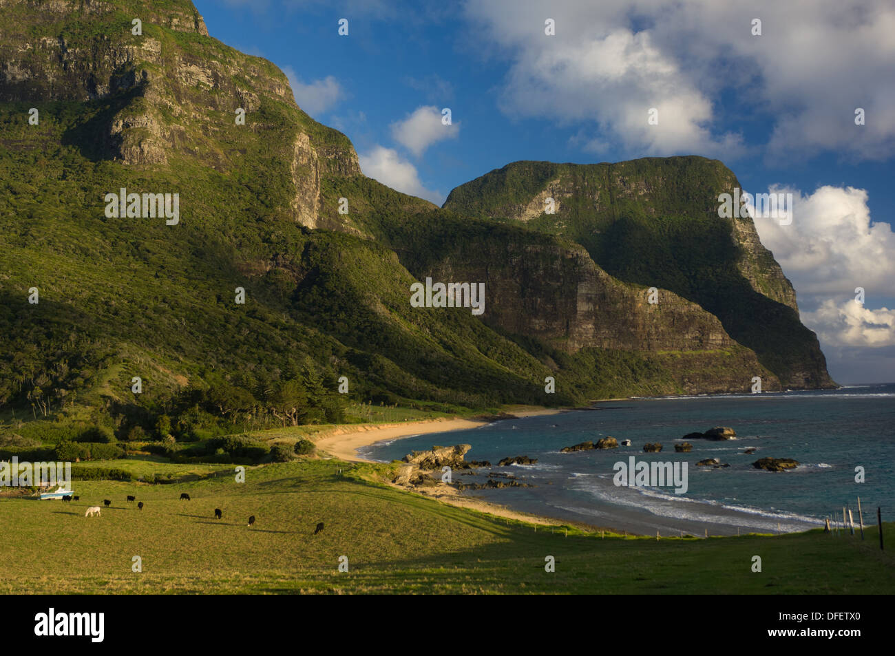 Looking across the lagoon towards Mount Gower, Lord Howe Island, NSW ...