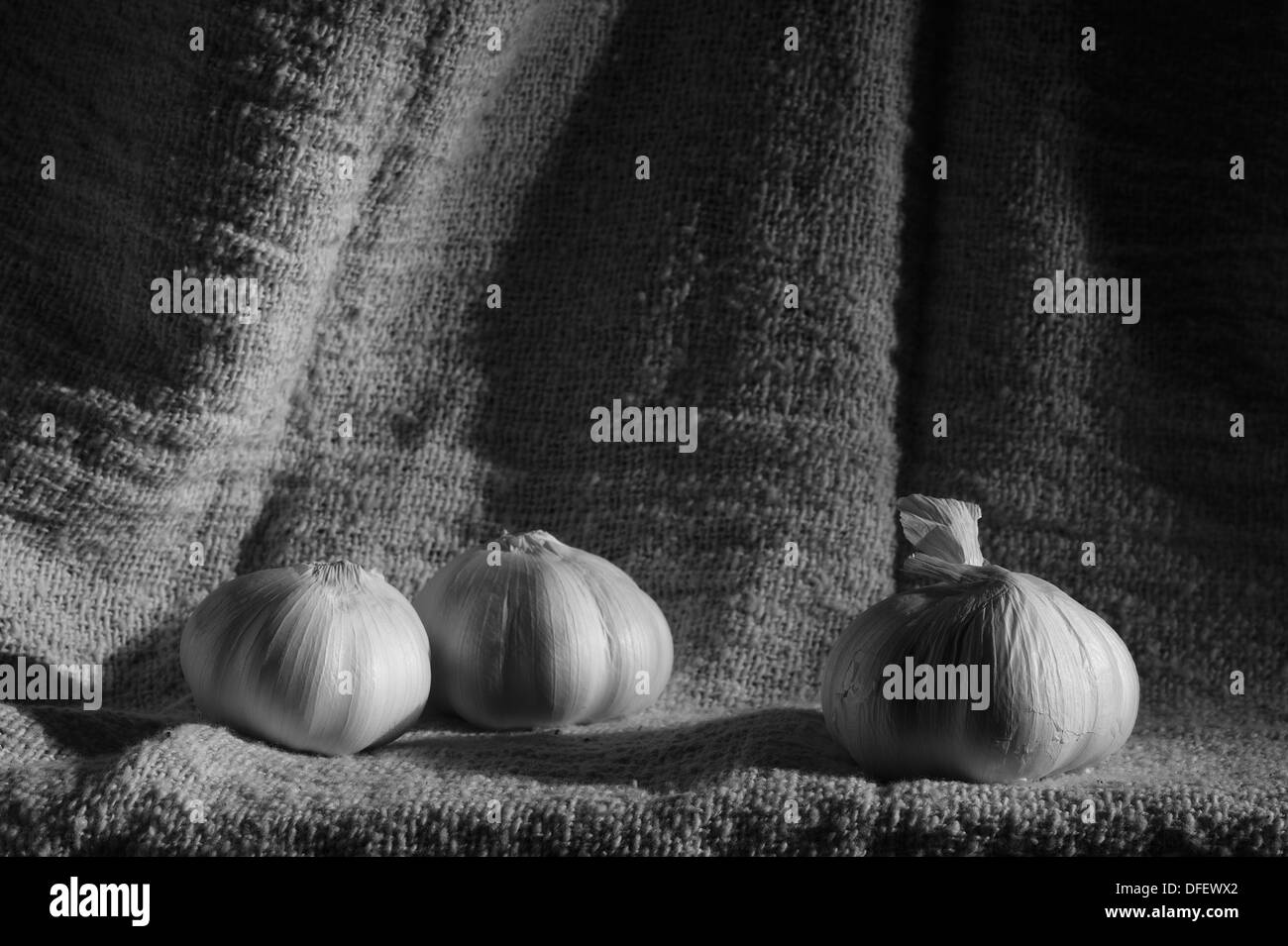 Still life with garlic Stock Photo - Alamy