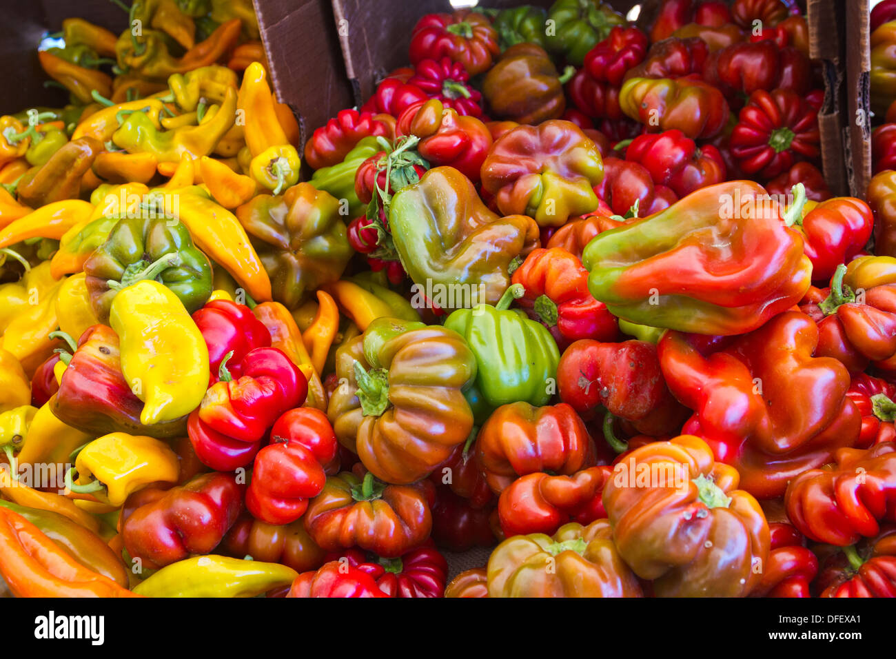 Brightly colored peppers on sale at a farmer's market Stock Photo - Alamy