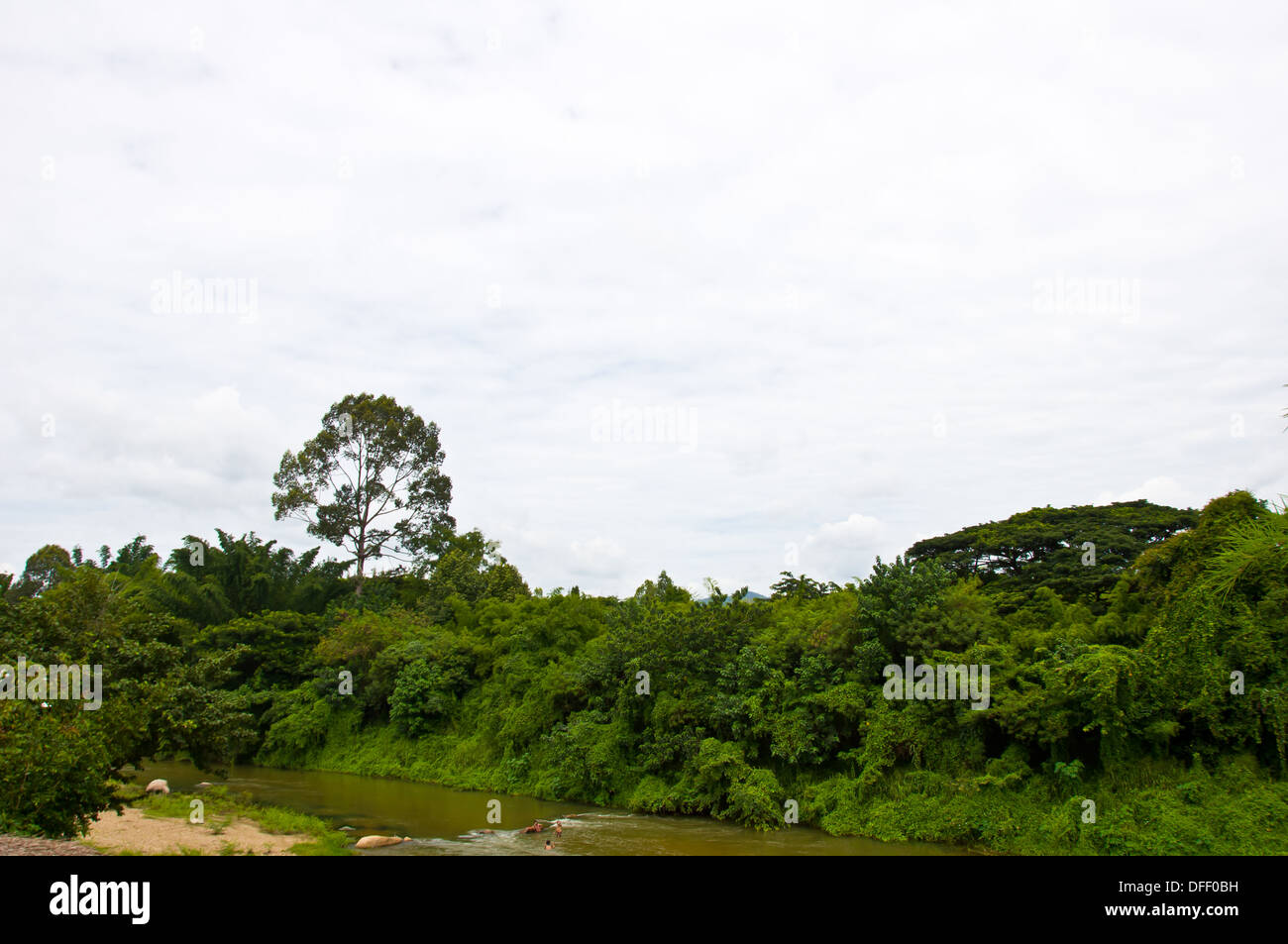 Small river hi-res stock photography and images - Alamy