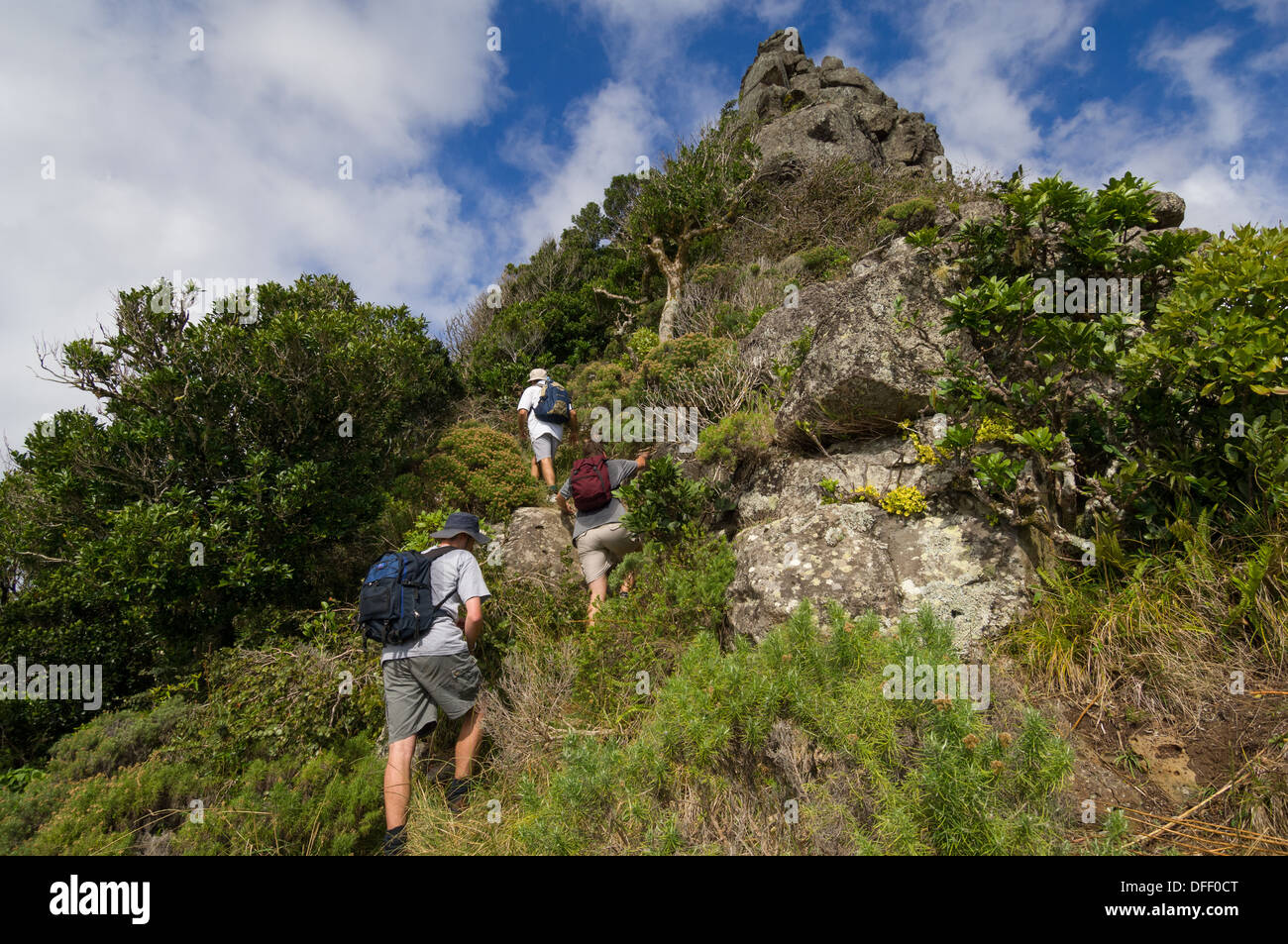 Tourists climbing up Mount Gower, Lord Howe Island, NSW, Australia ...