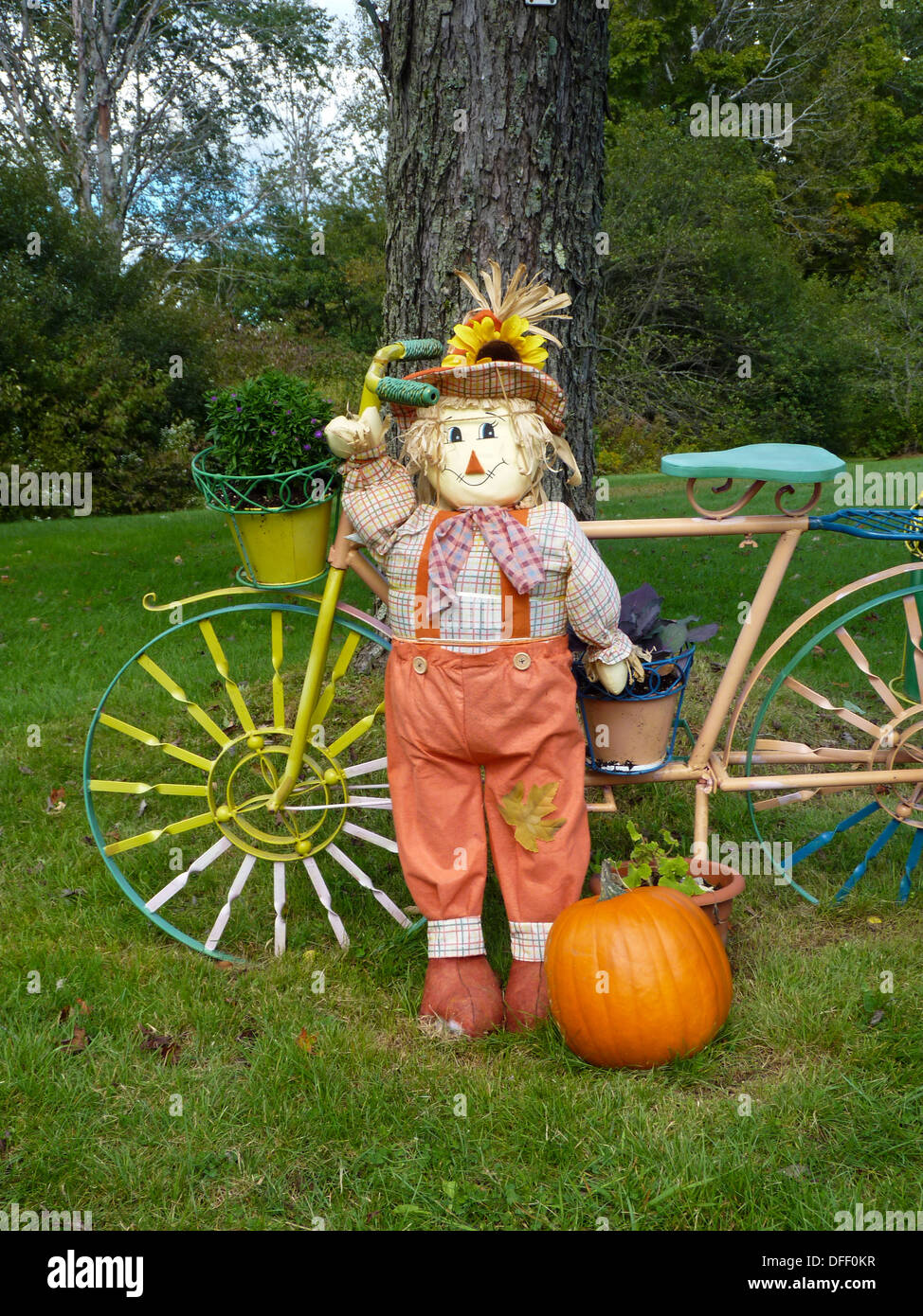 Autumn Fall Display Scarecrow Pumpkin High Resolution Stock Photography ...