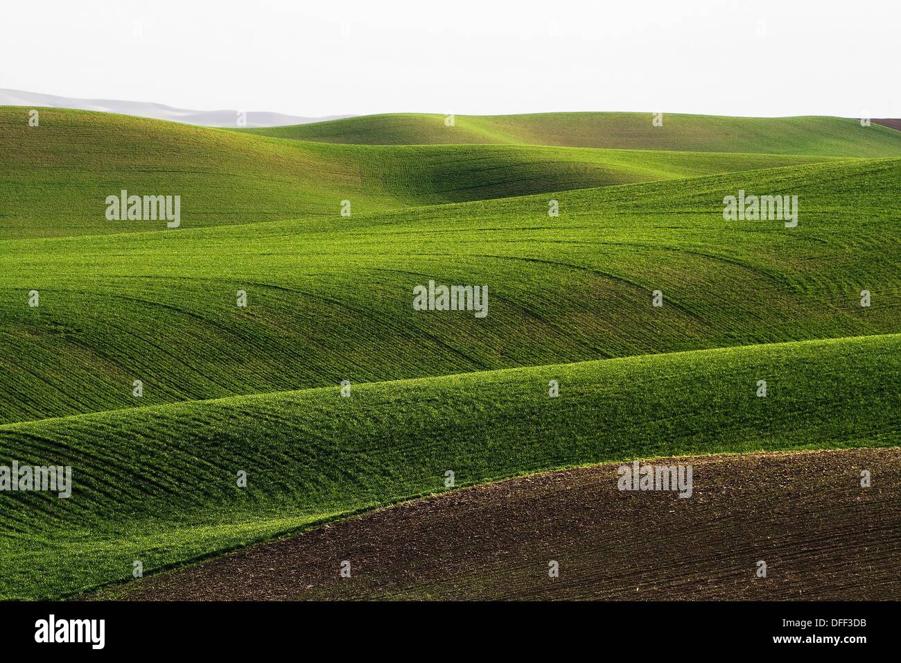 Rolling barley hi-res stock photography and images - Alamy