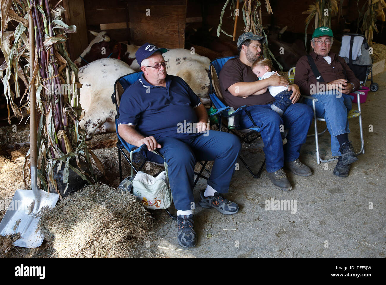 Owners sit with their oxen in the barn at Fryeburg Fair, Fryeburg ...