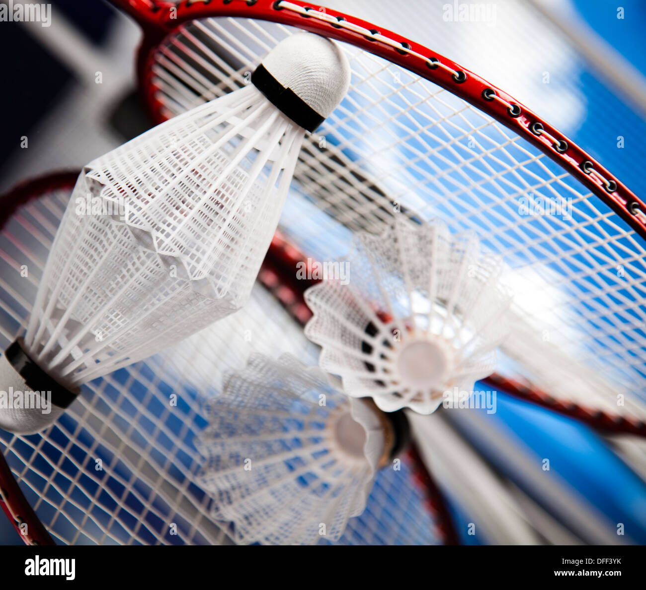 Shuttlecock on badminton racket Stock Photo - Alamy