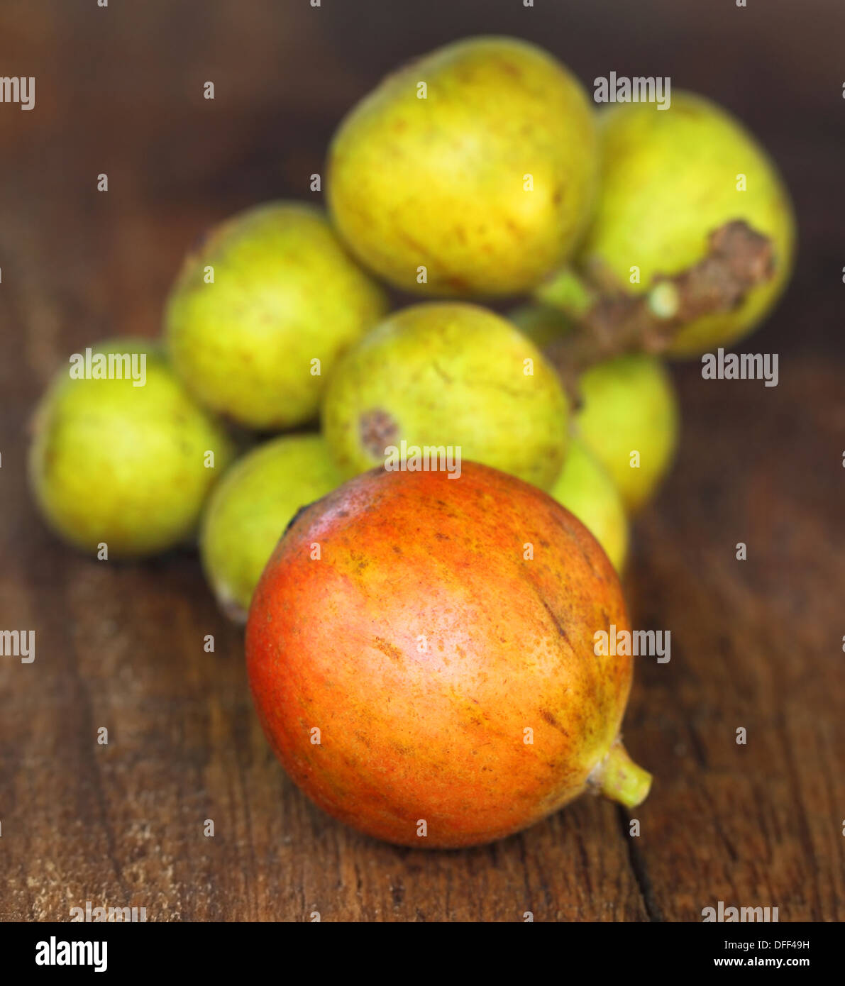 Figs of india hi-res stock photography and images - Alamy