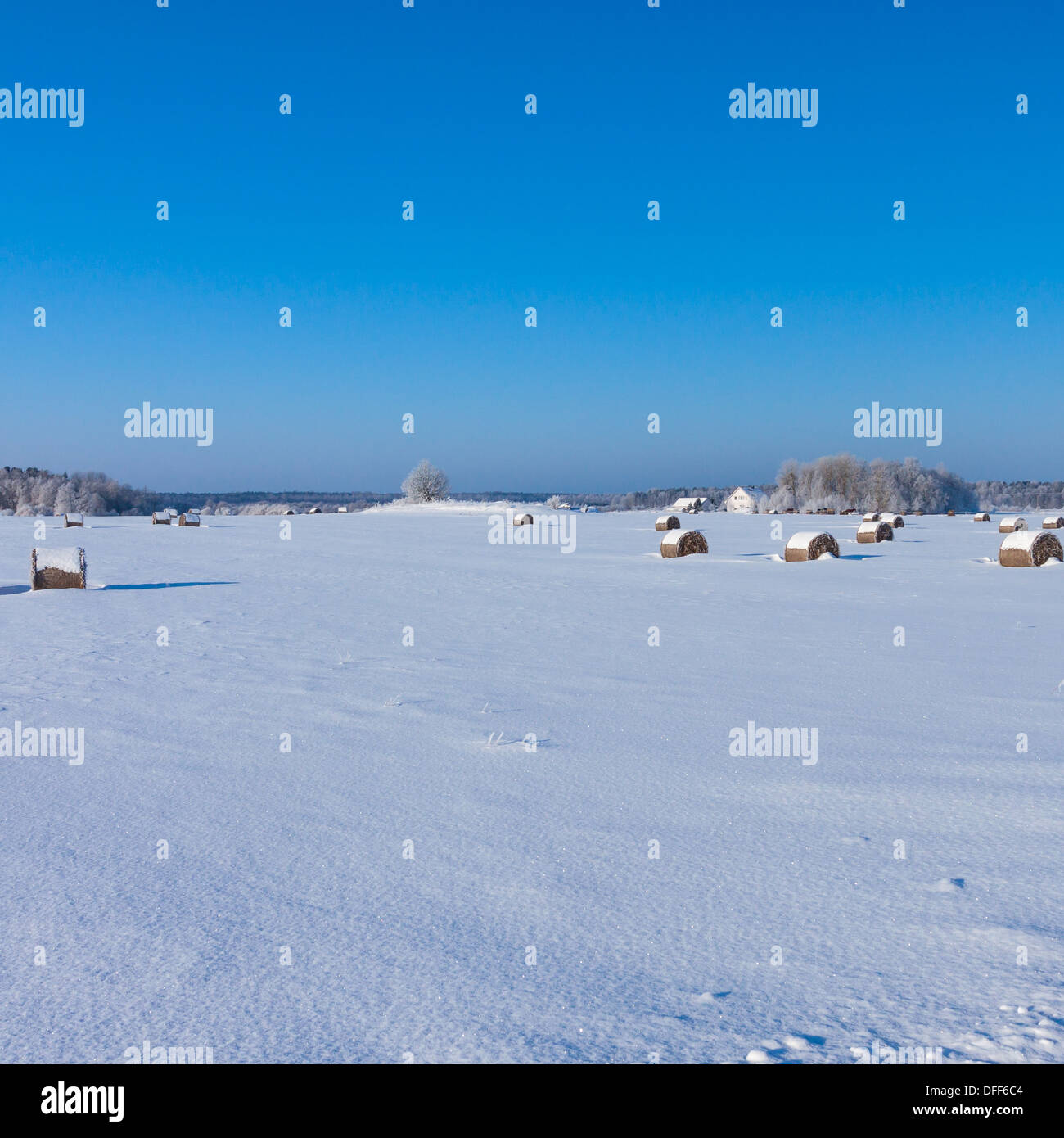 Farm with a barn, horses and bales of hay laying in the snow on farm ...