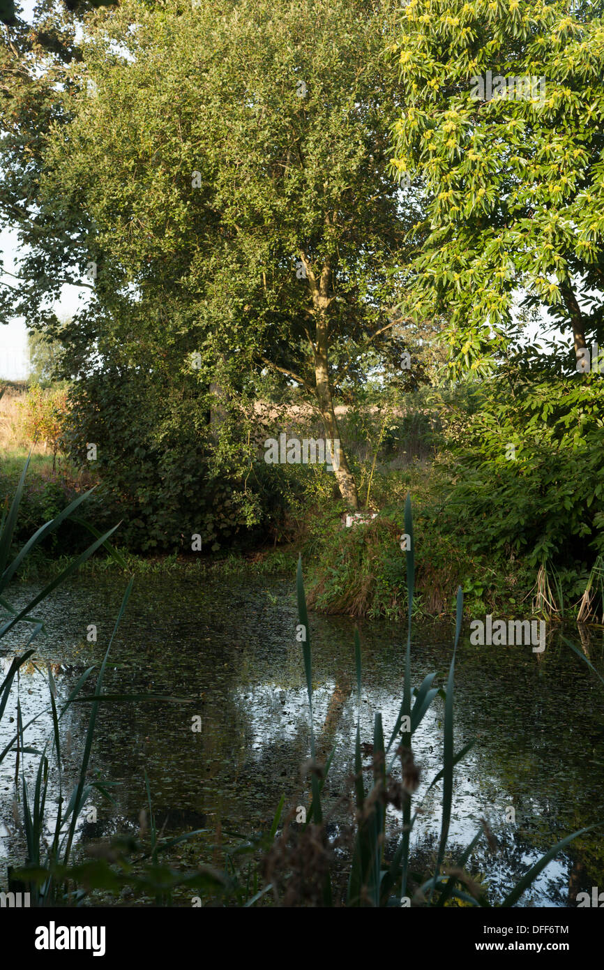 Plumstead norfolk hi-res stock photography and images - Alamy
