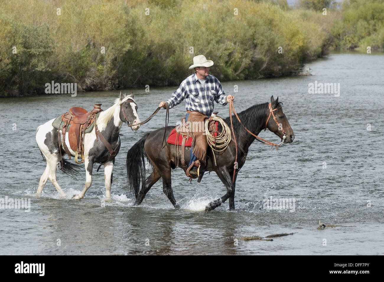 Rider leading horse hi-res stock photography and images - Alamy