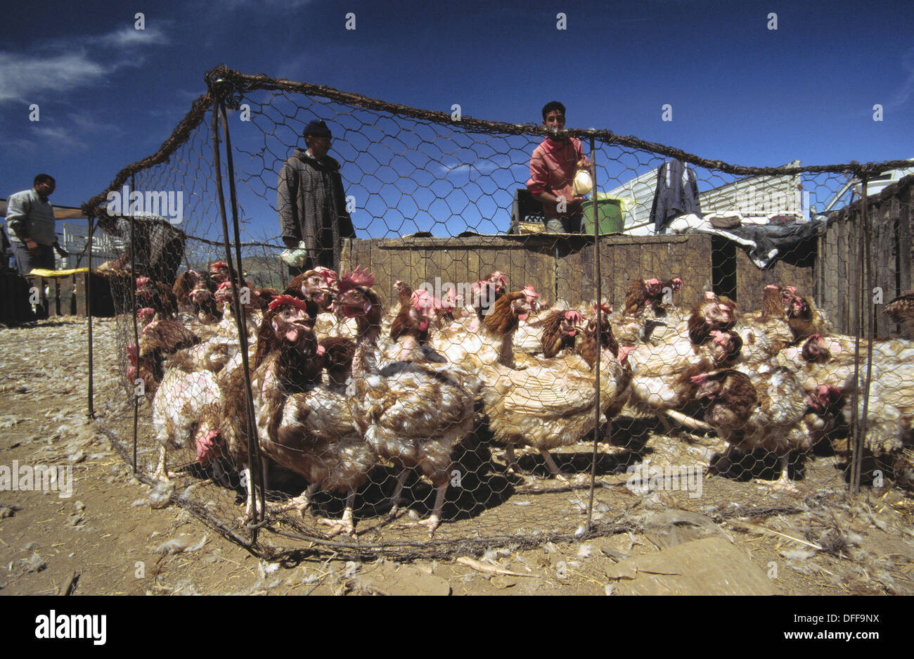 Azrou market hi-res stock photography and images - Alamy