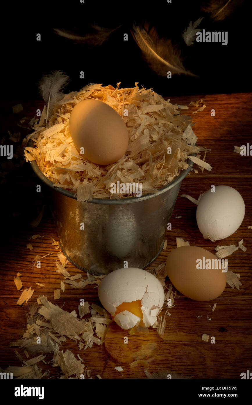 Broken nest eggs hi-res stock photography and images - Alamy