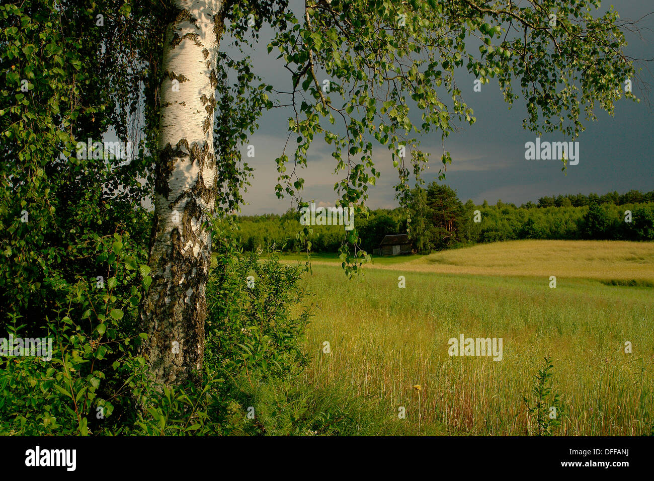 Spring in the mazowsze region hi-res stock photography and images - Alamy