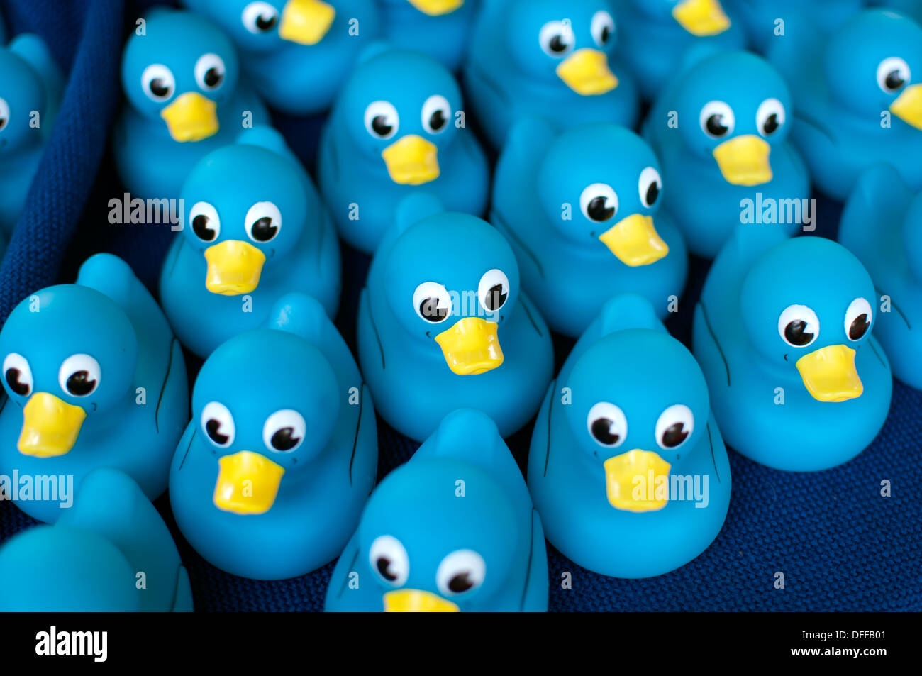 Blue plastic ducks Stock Photo - Alamy