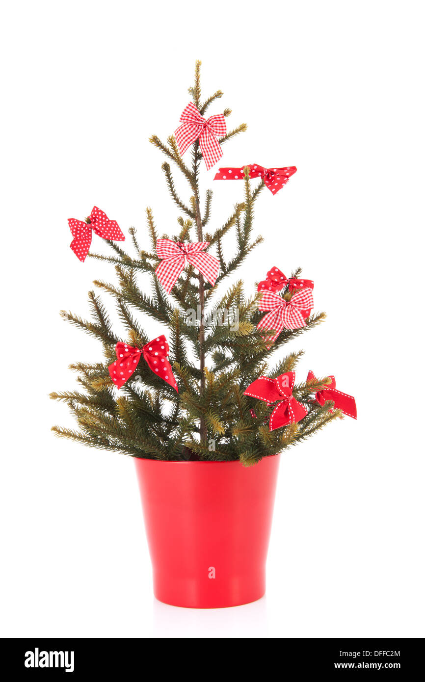 Little red Christmas tree with bows isolated over white background ...