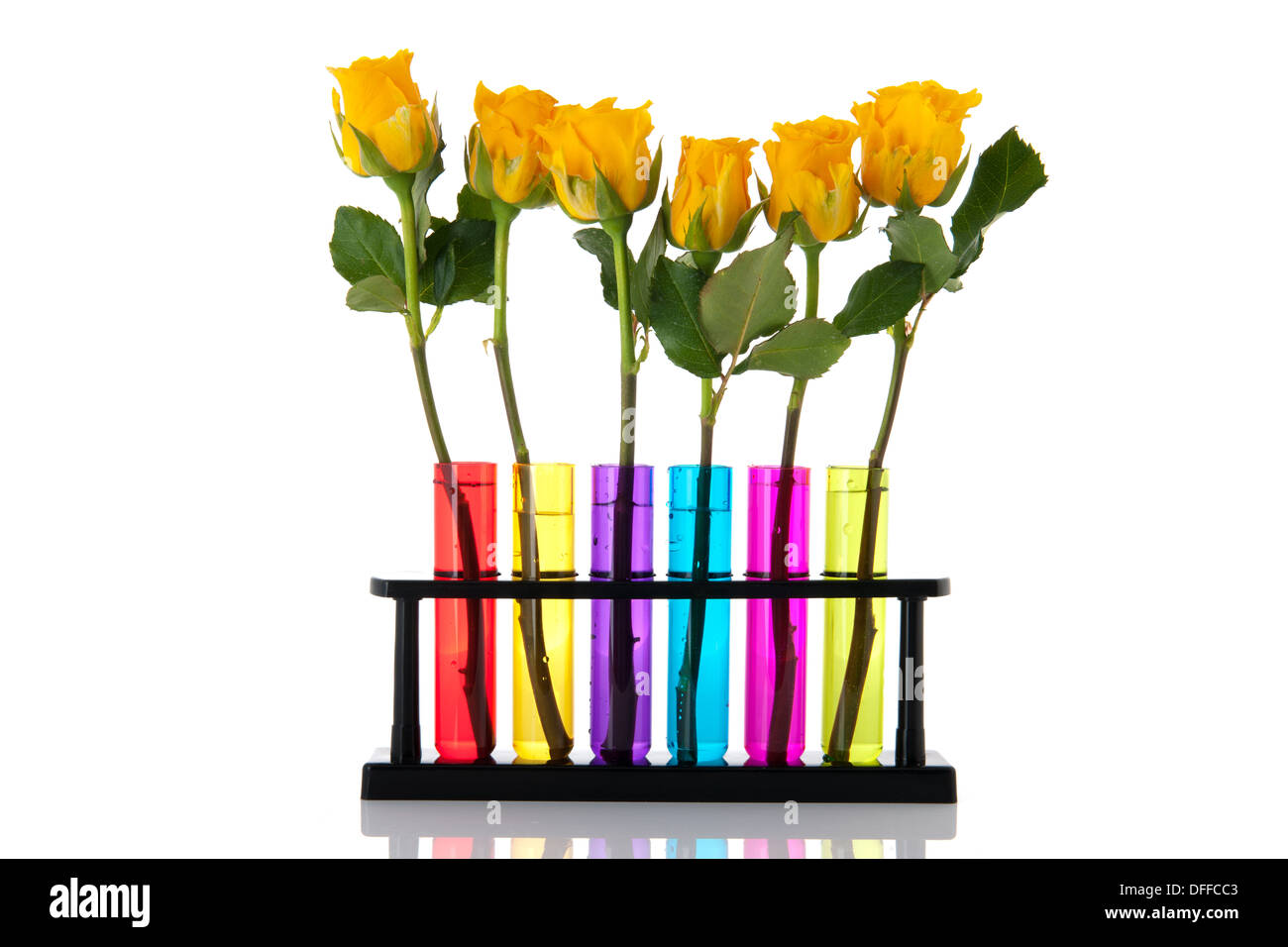 Colorful Tubes Stock Photos & Colorful Tubes Stock Images - Alamy