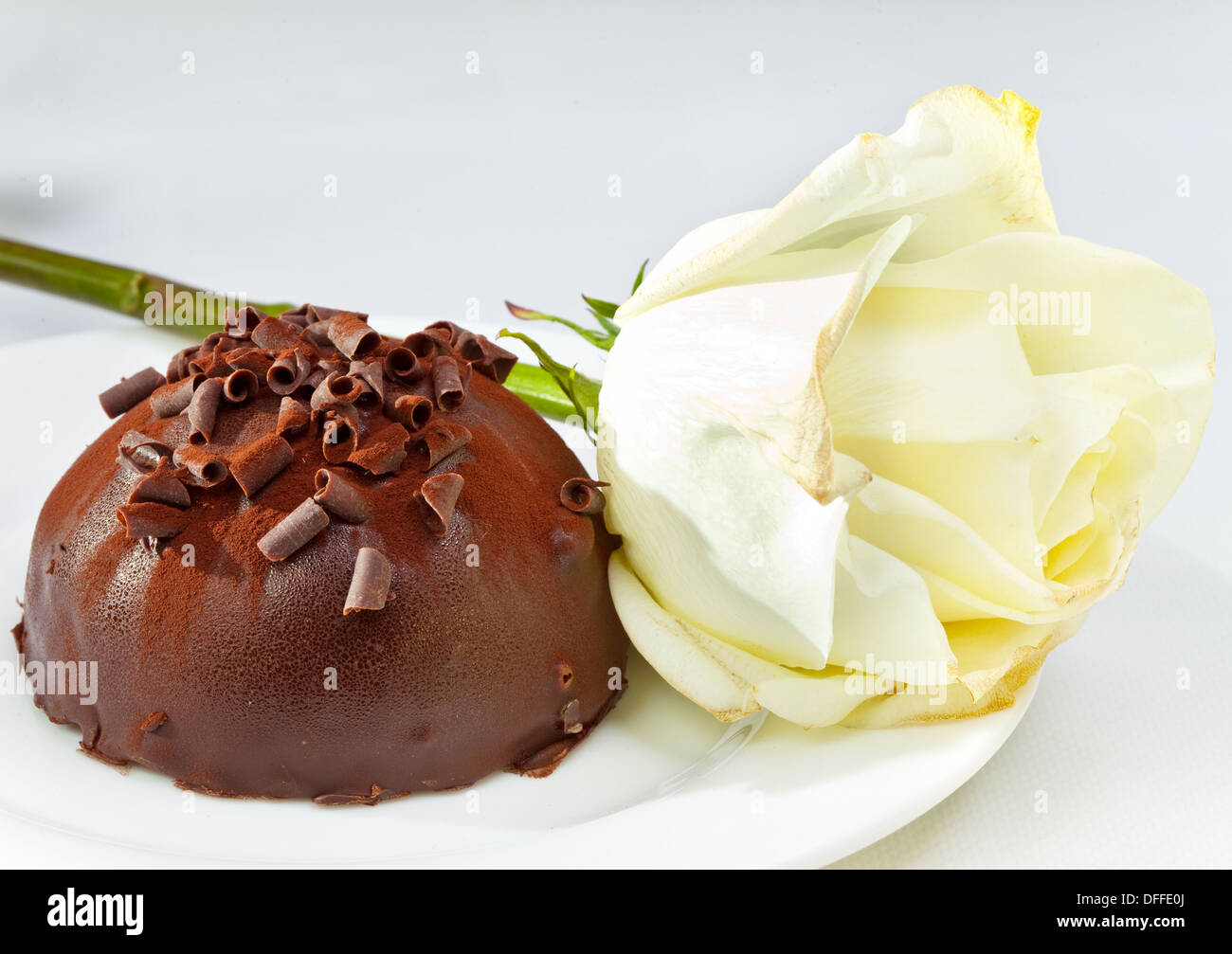 Chocolate cake and white rose Stock Photo - Alamy