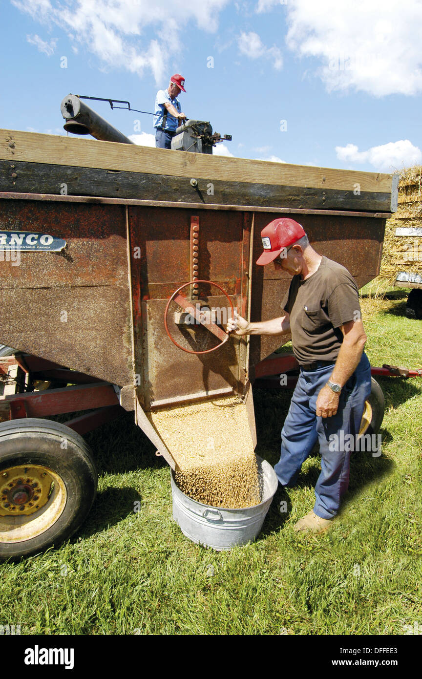 Farmers grain trashing and hay bailing methods (c. 1917) reenactment ...