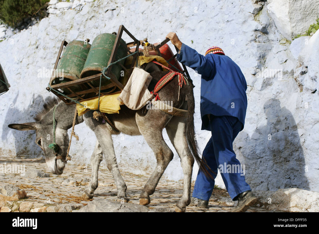 Donkey carry gas hi-res stock photography and images - Alamy