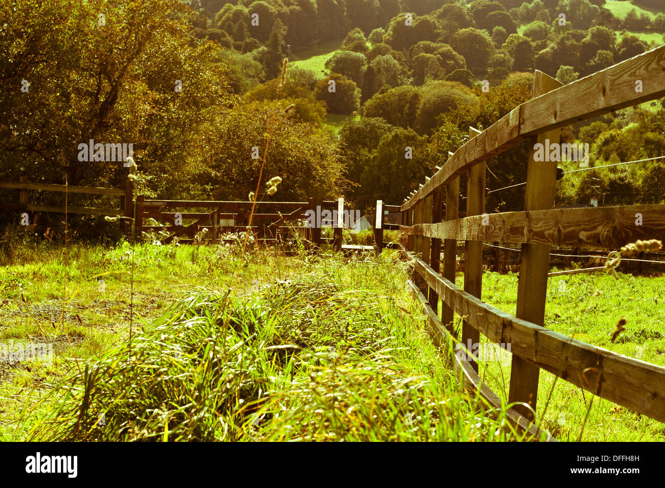 Mullagh ireland hi-res stock photography and images - Alamy
