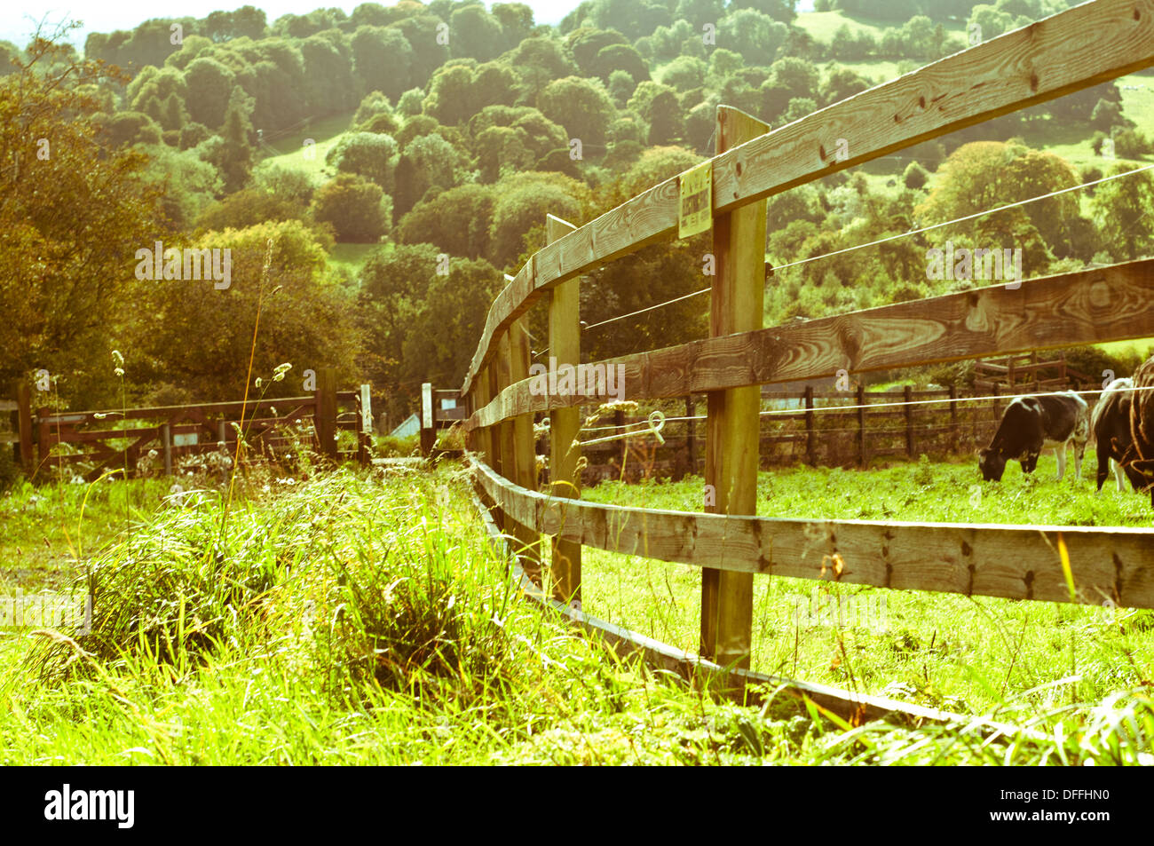 Mullagh Ireland High Resolution Stock Photography and Images - Alamy