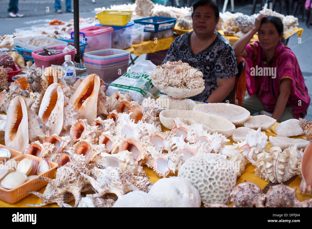 Dead coral hi-res stock photography and images - Alamy
