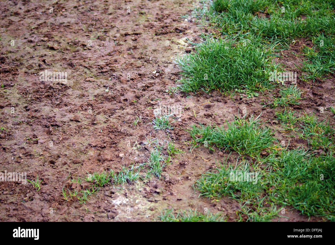 Mud Football Pitch Stock Photos & Mud Football Pitch Stock Images - Alamy