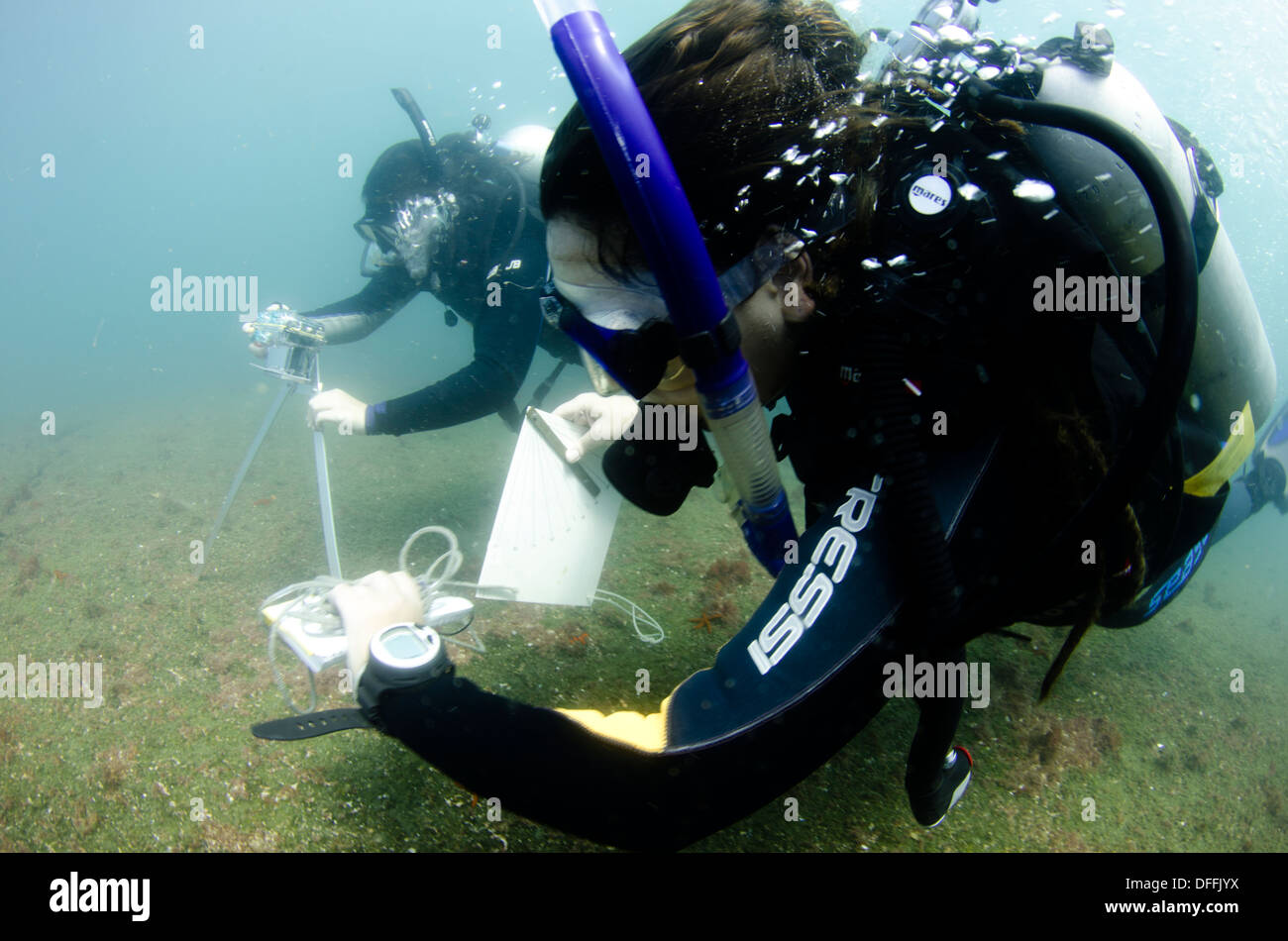 Scuba diving techniques hi-res stock photography and images - Alamy