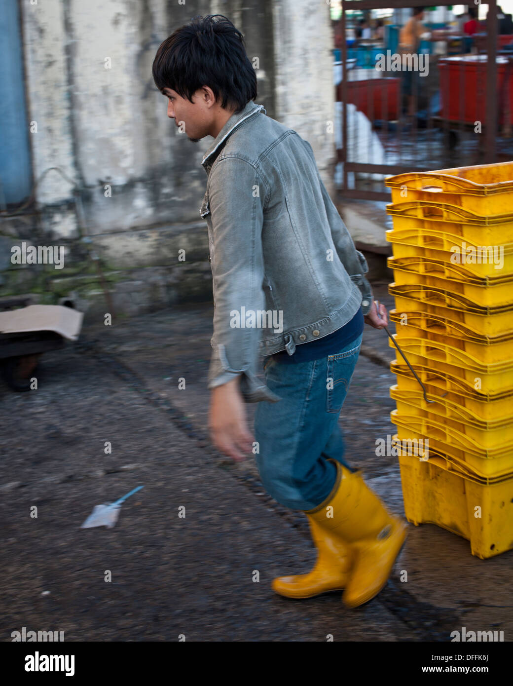 Fisherman drags crates at the fish market, Kota Kinabalu Stock Photo ...