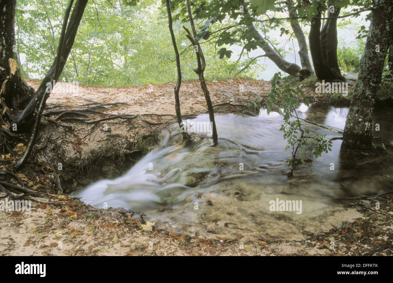 Sometimes water seems to disappear only to reappear of a sudden ...