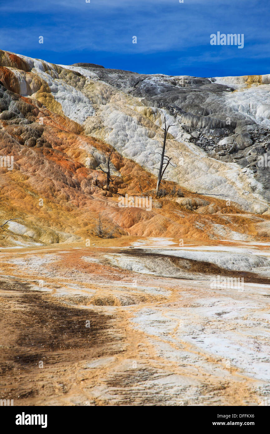 Mammoth Hot Springs Terraces, Yellowstone National Park Stock Photo - Alamy