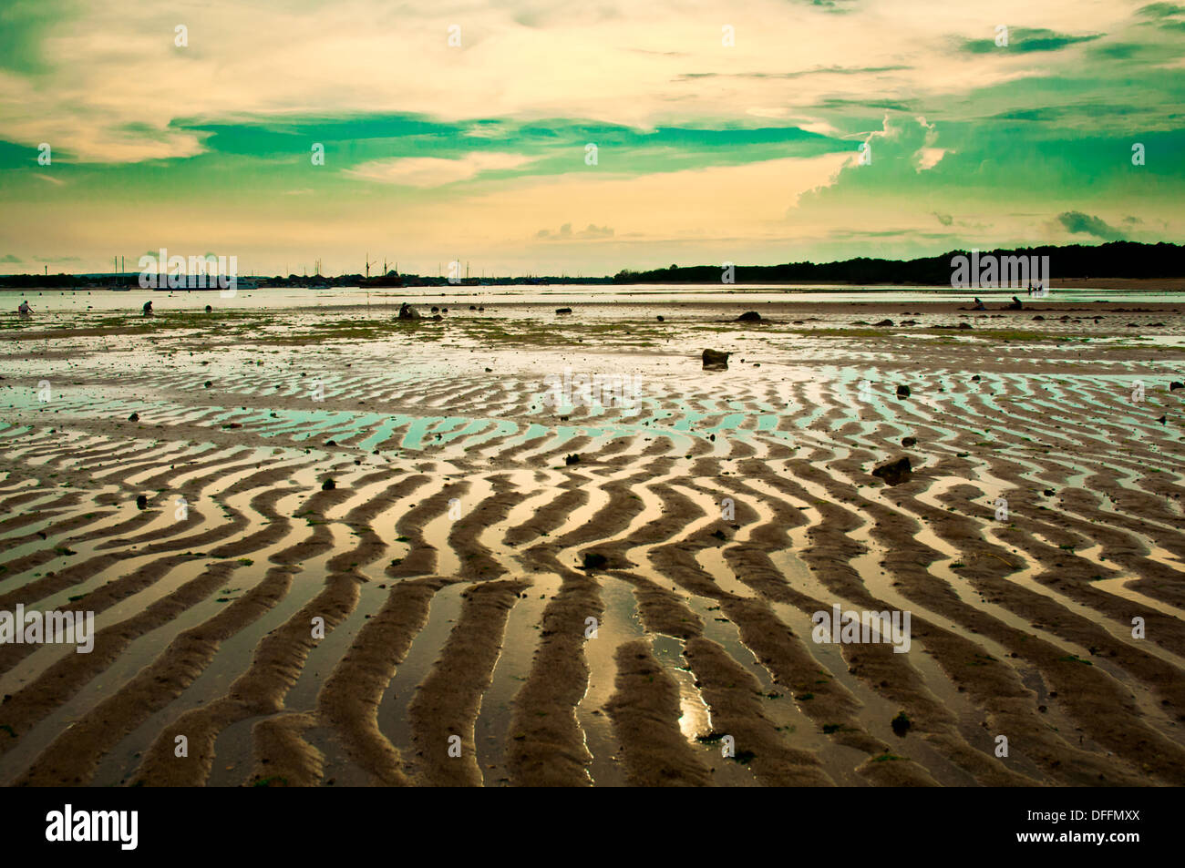 Mud patterns on beach hi-res stock photography and images - Alamy