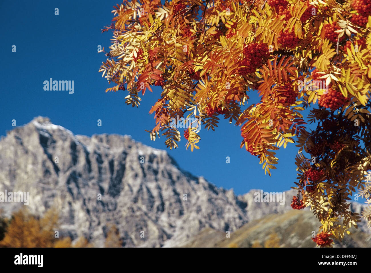 Solda High Resolution Stock Photography and Images - Alamy