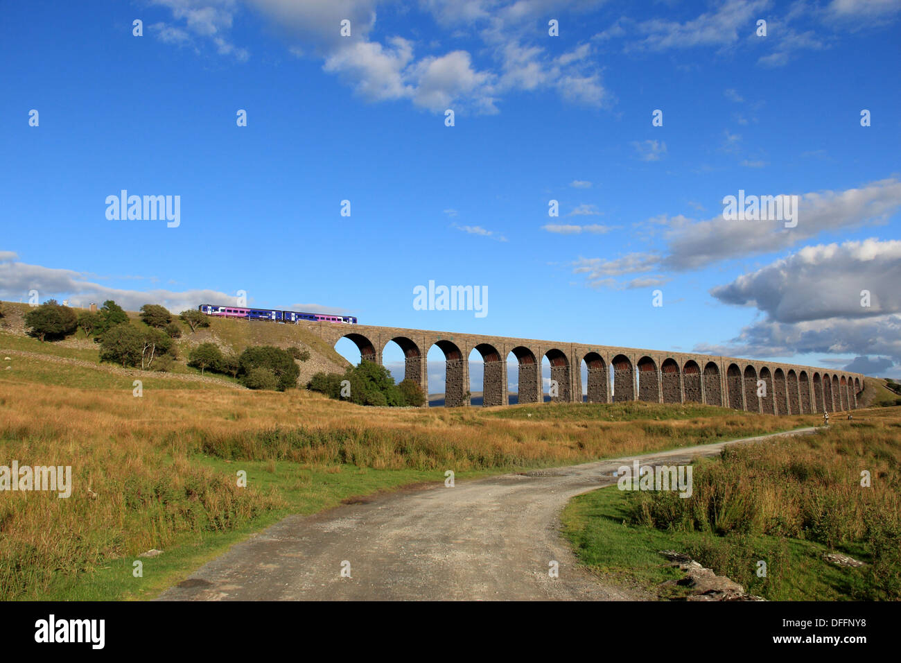 The Ribblehead Viaduct on the Settle to Carlisle railway line Stock ...