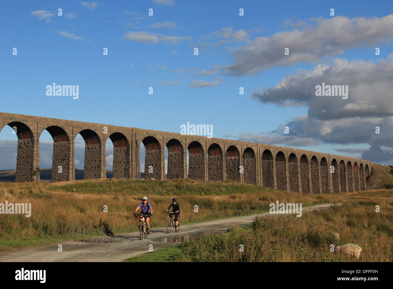 The Ribblehead Viaduct on the Settle to Carlisle railway line Stock ...