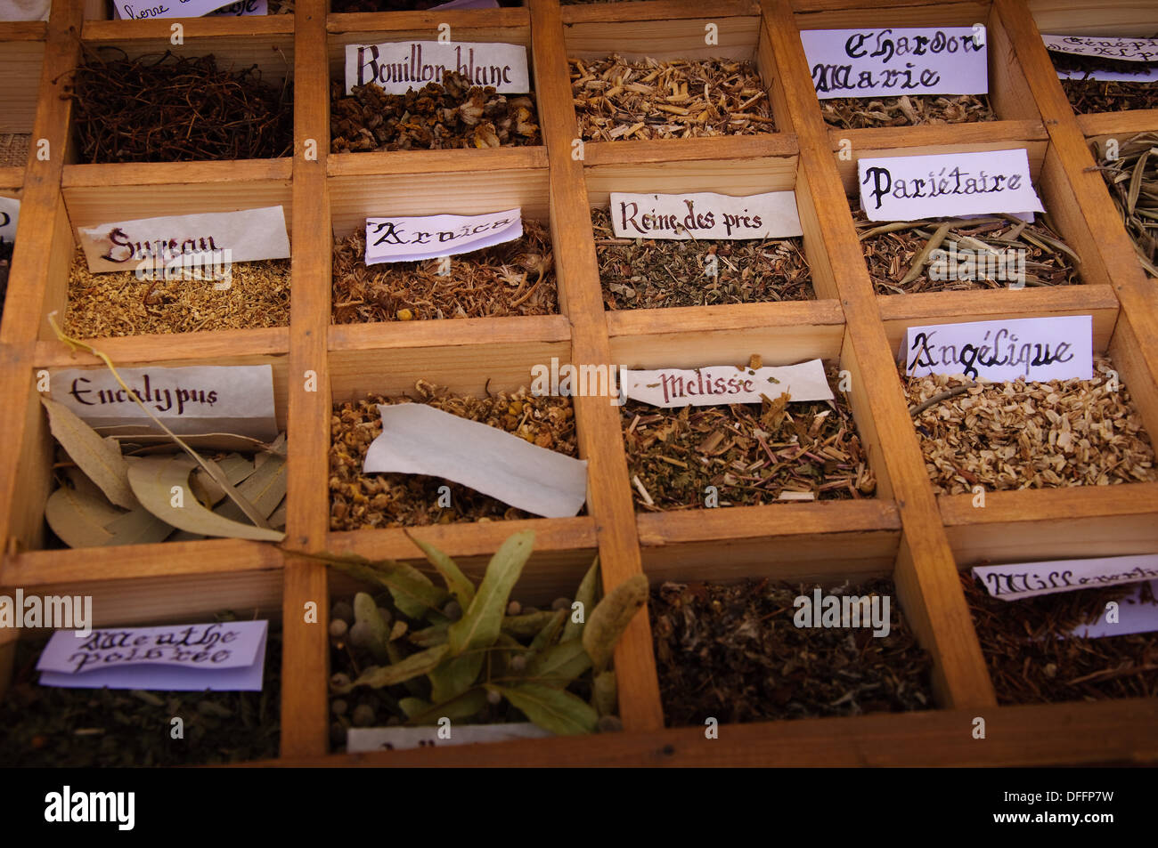 Herbs And Spices Of France at Charles Blalock blog