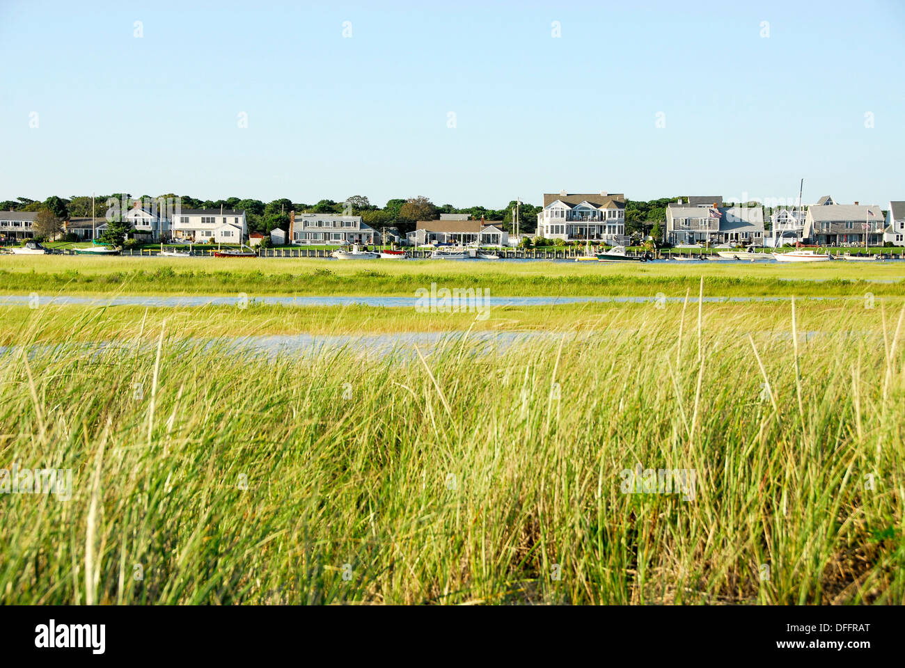 Salt water marsh in Dennis Port, Cape Cod, Massachusetts Stock Photo ...