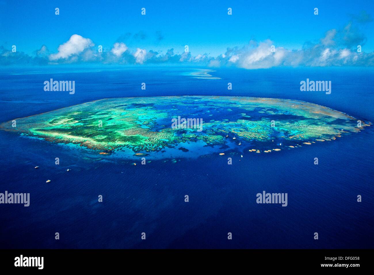 Bait reef queensland hi-res stock photography and images - Alamy