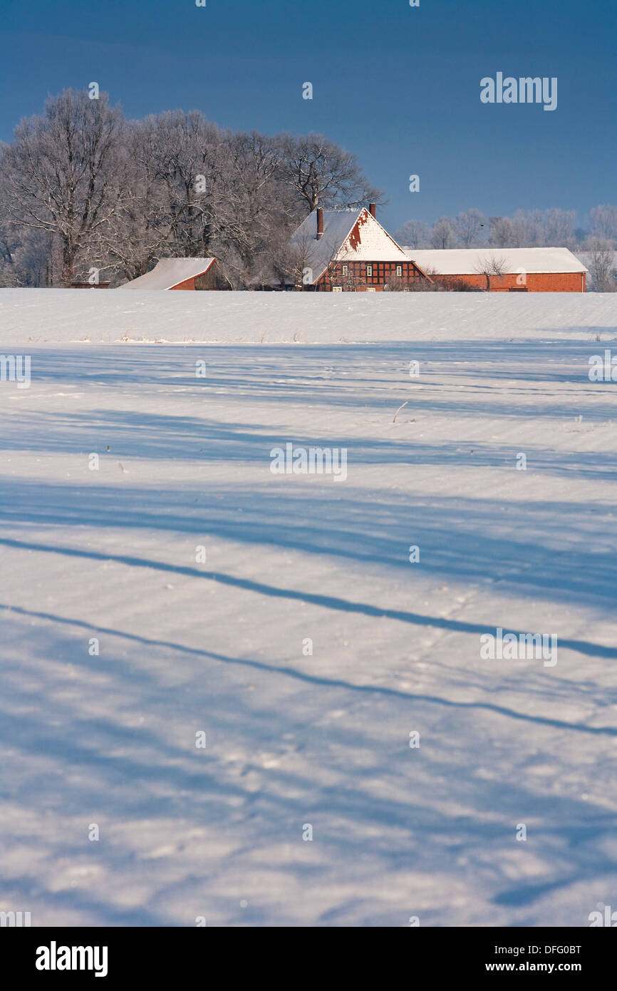 Snap capped hi-res stock photography and images - Alamy