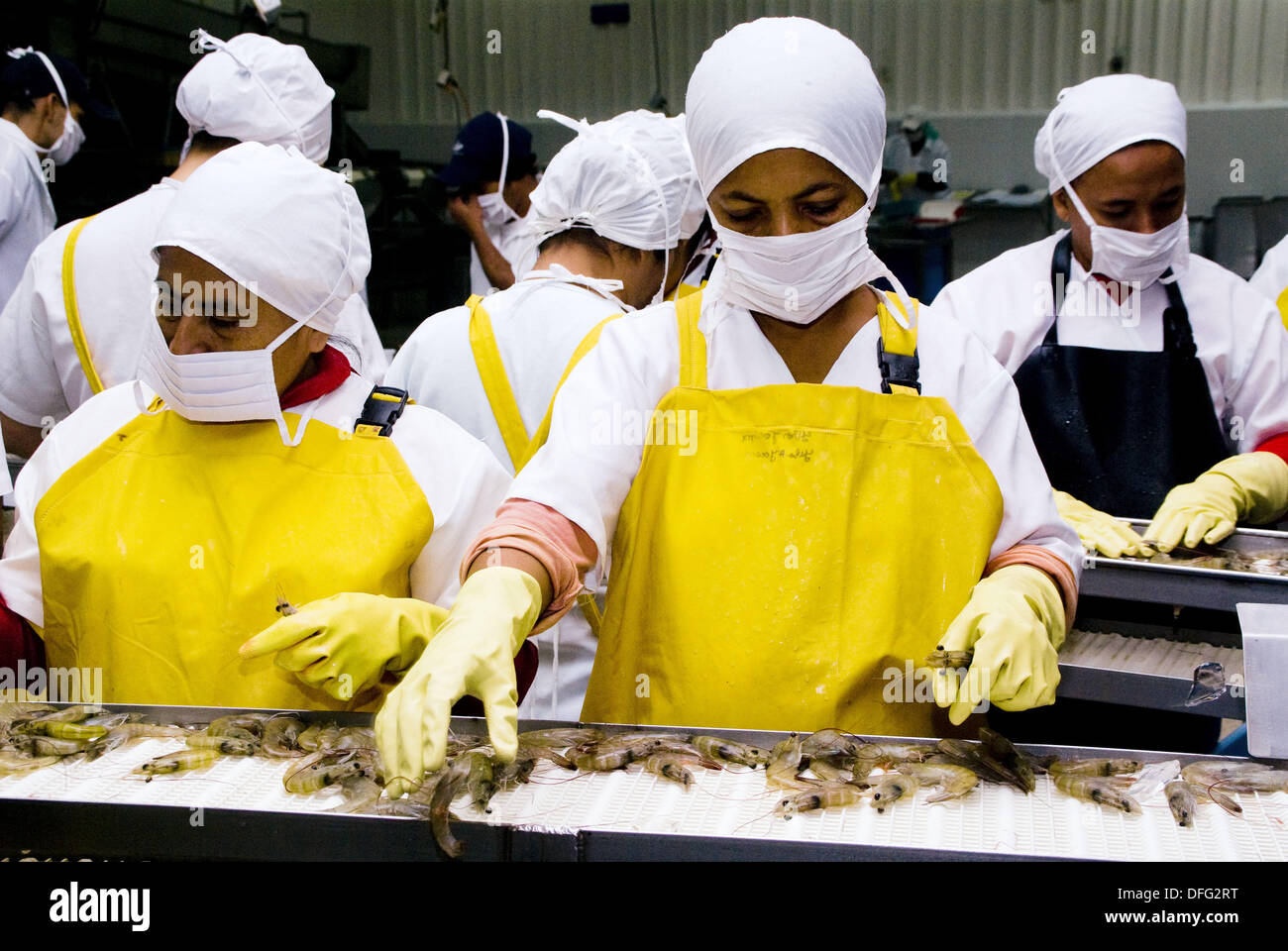 Guayaquil ecuador shrimp hi-res stock photography and images - Alamy